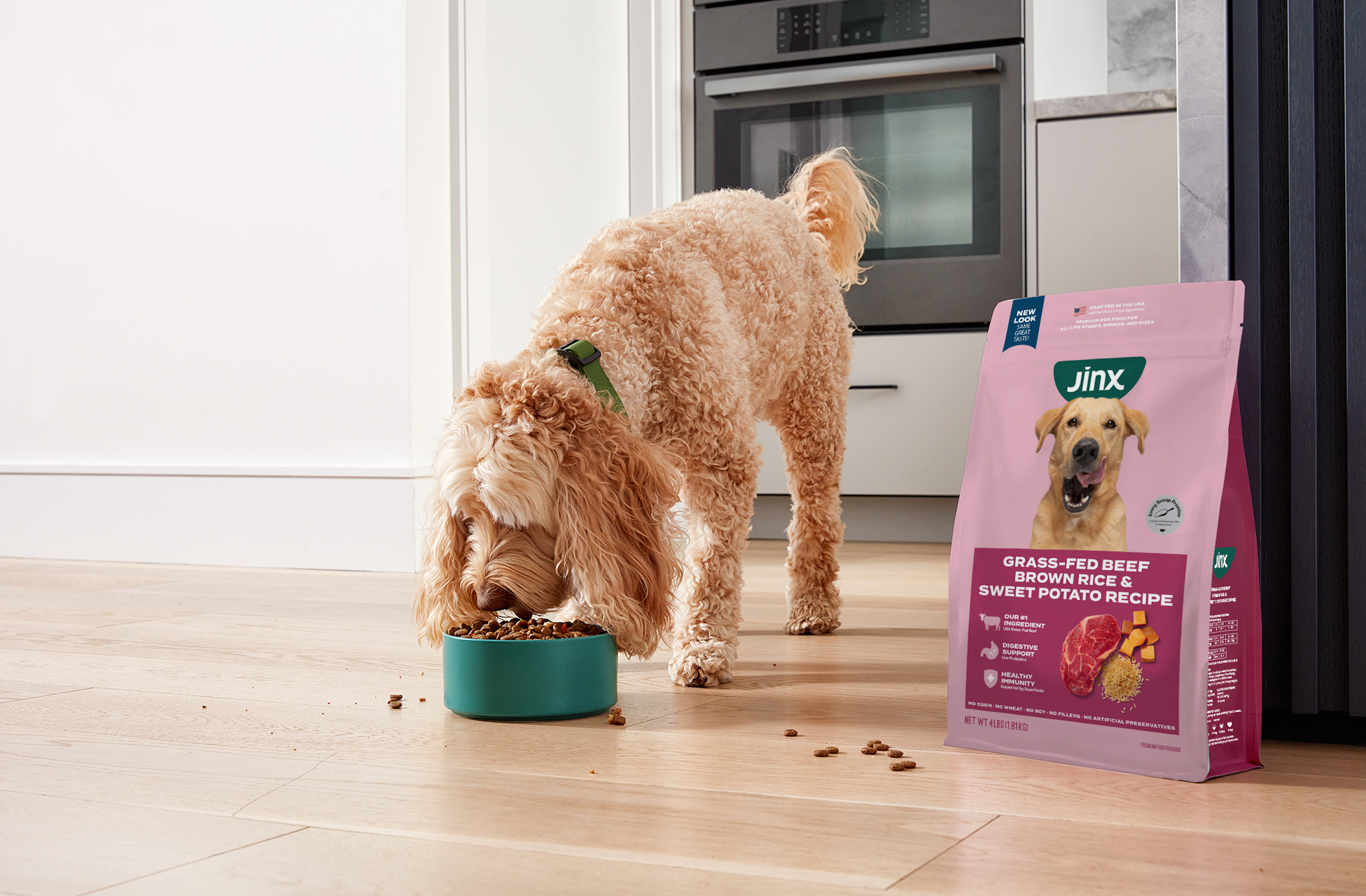 How Long Does It Take A Dog To Digest Food – Jinx