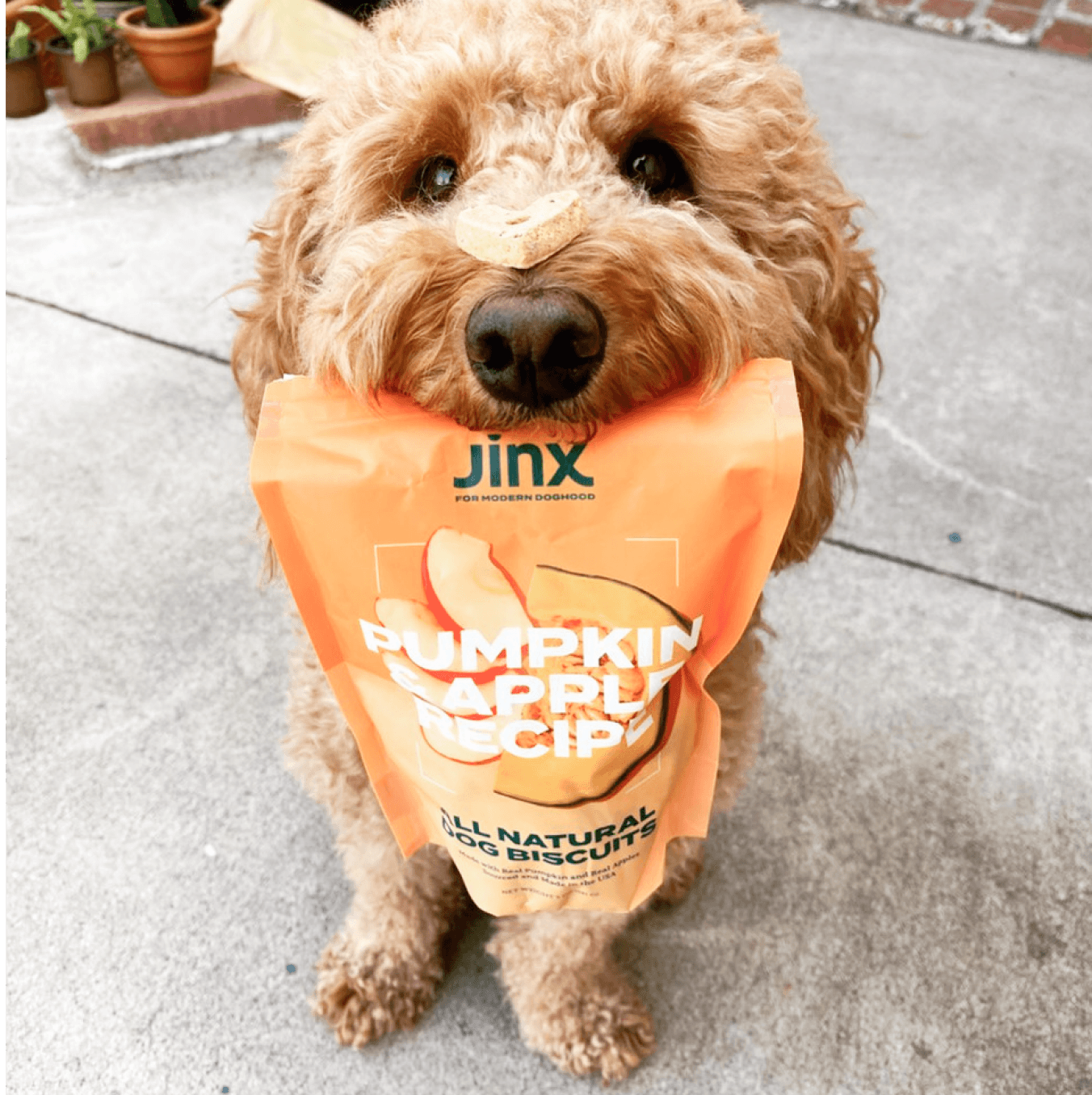 Press Coverage: Read What People Are Saying About Jinx | Jinx