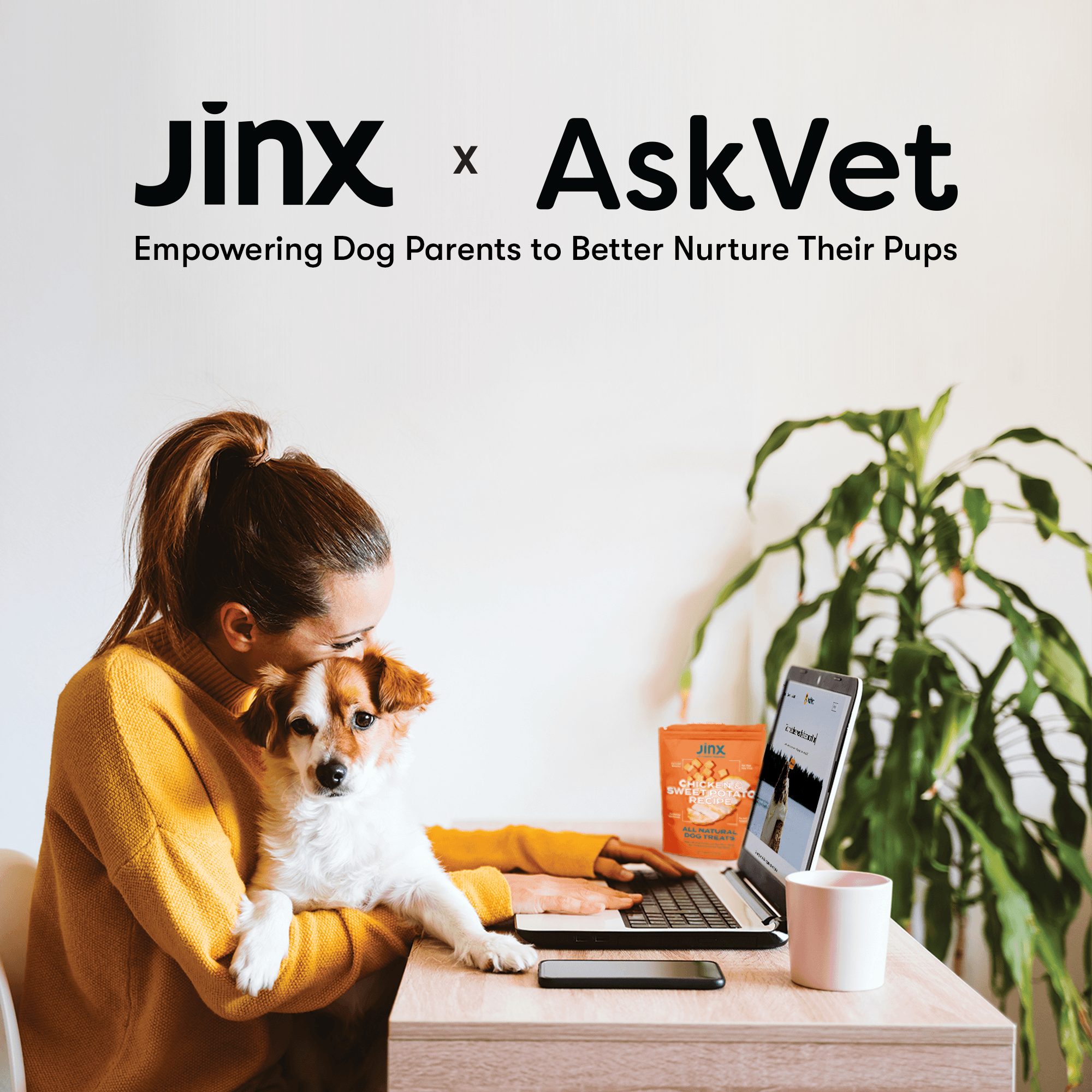 Jinx Partners With Askvet: See What That Means for You | Jinx