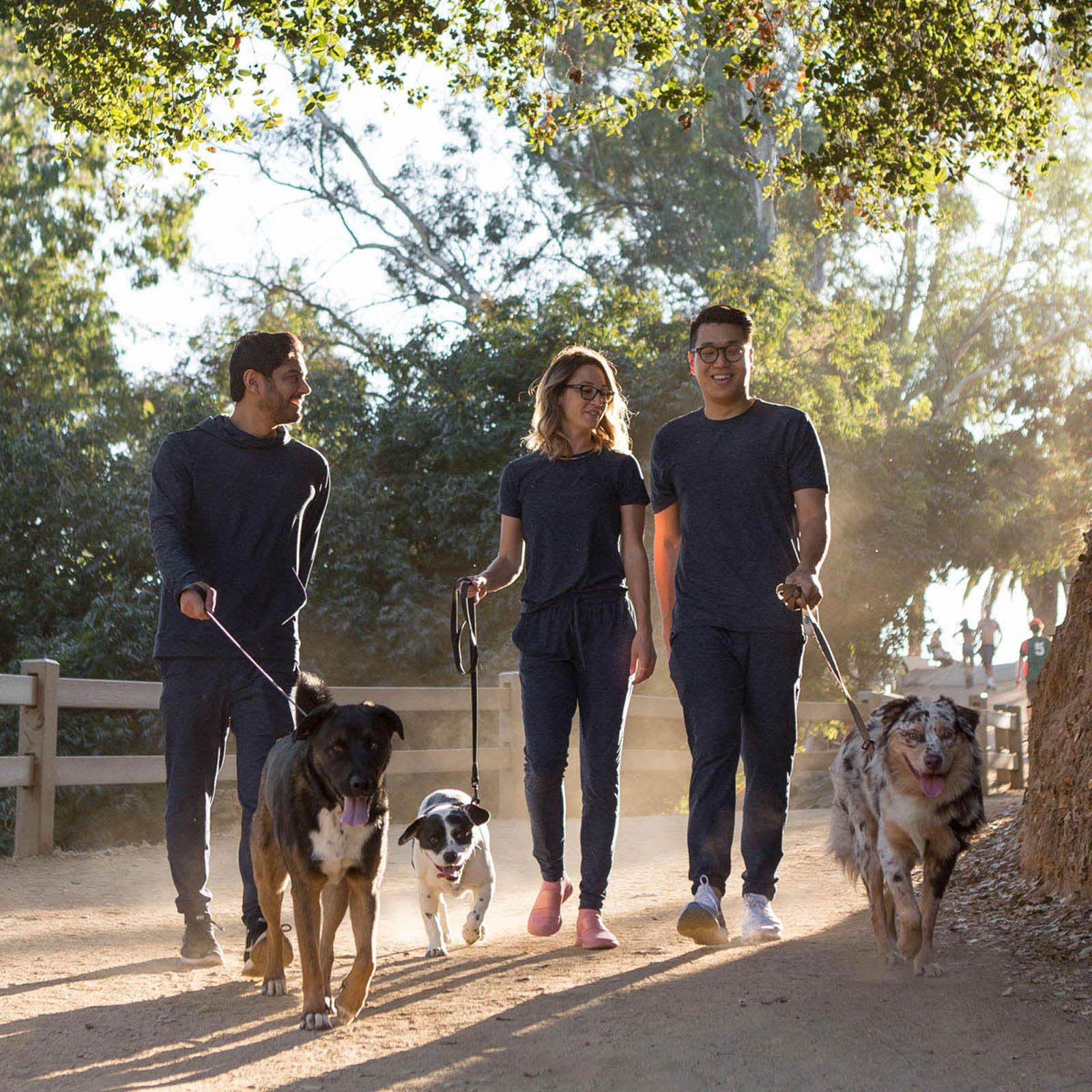 Calling All Dogs: Welcome to Our Pack | Jinx