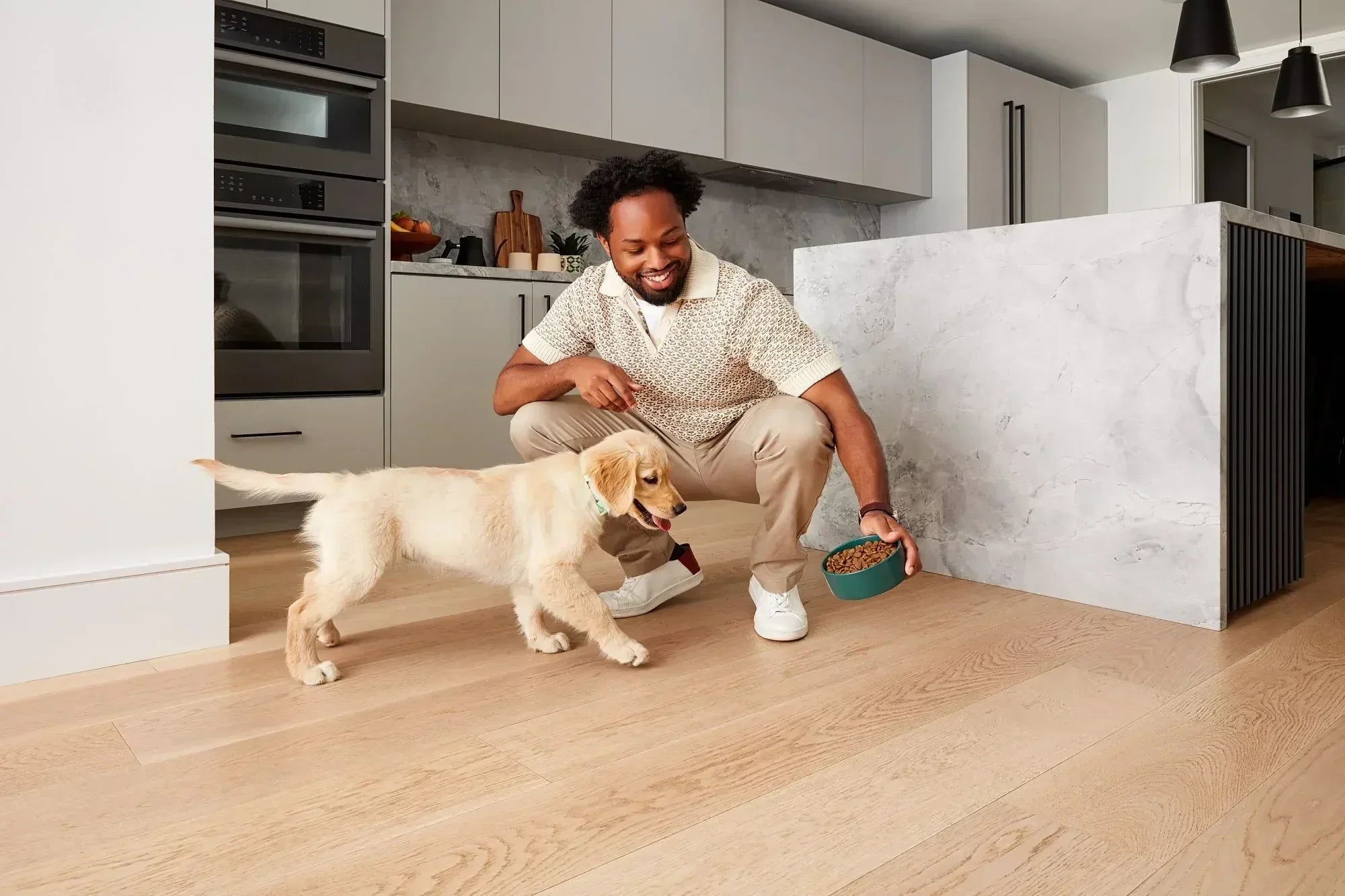 Ask a Vet: Dog Nutrition 101 - What to Feed Your Dog | Jinx