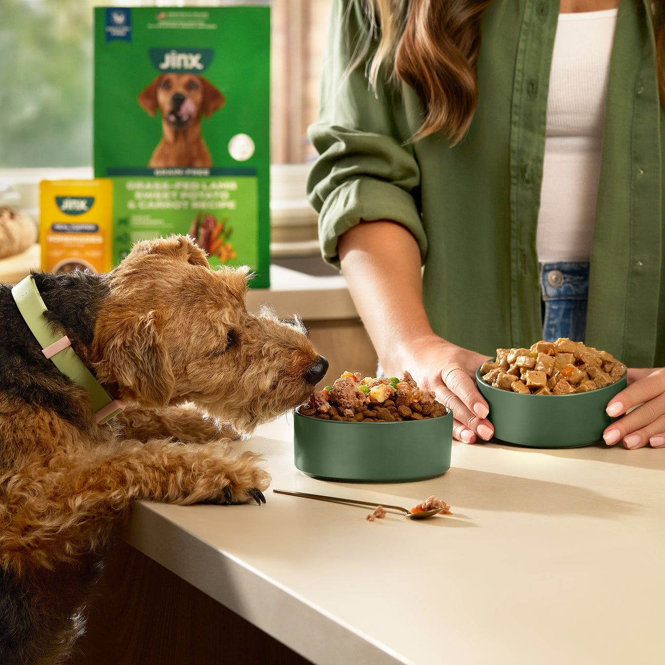 Shop Grain-Free Beef and Sweet Potato Dog Food: Paté Wet Food – Jinx