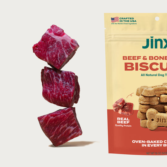 Shop Premium Beef Treats For Dogs: Superpack Bundle – Jinx