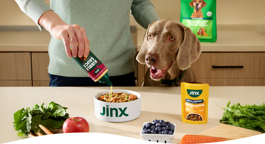 Jinx: Real, Healthy Dog Food Made for Your Best Friend