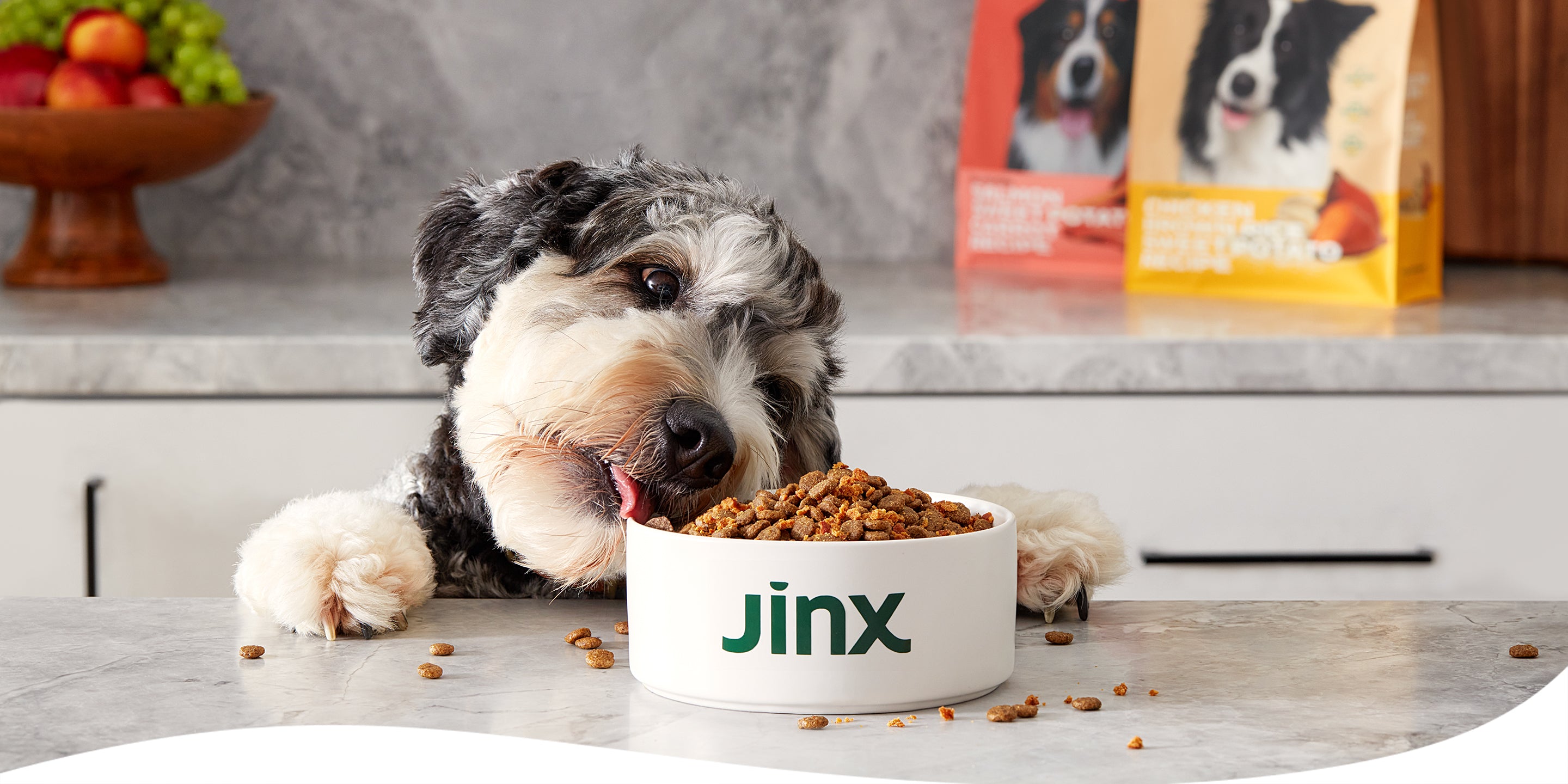 Shop Salmon Dog Kibble Sampler: Premium Dry Dog Food – Jinx