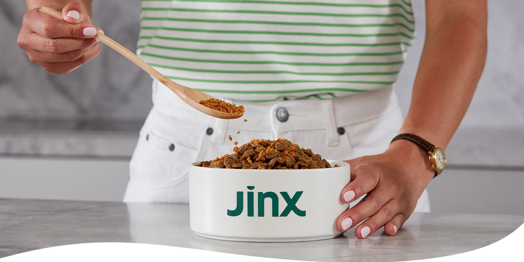 Dog Food Toppers: Freeze-Dried Chicken Topper | Jinx