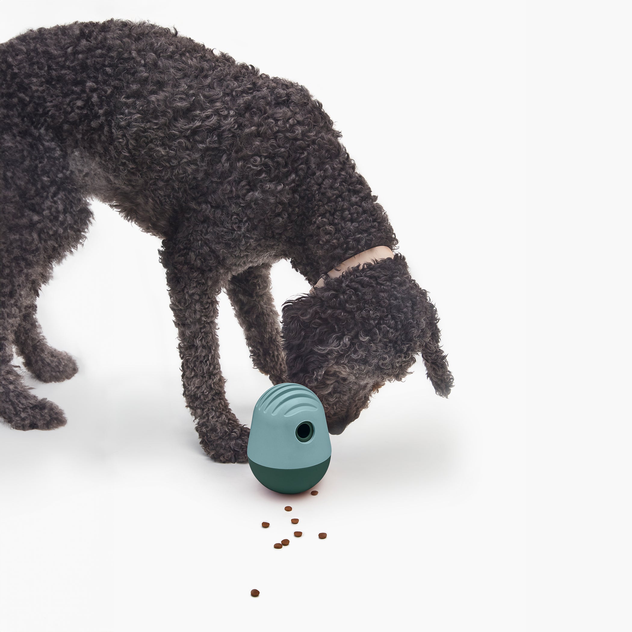 Store Locator: Find Us IRL – Jinx