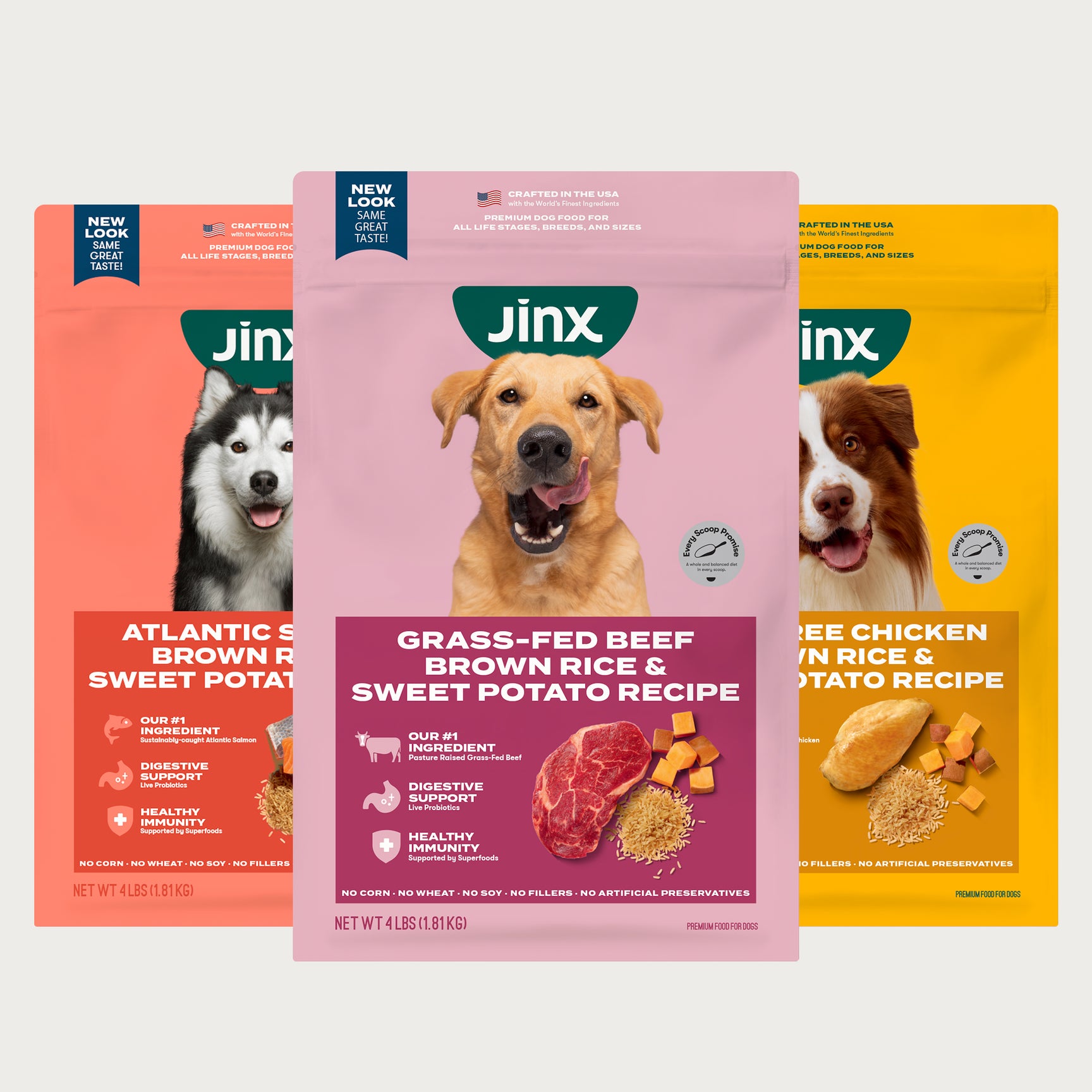Shop High Quality, Grain-Friendly Dog Kibble Samples – Jinx