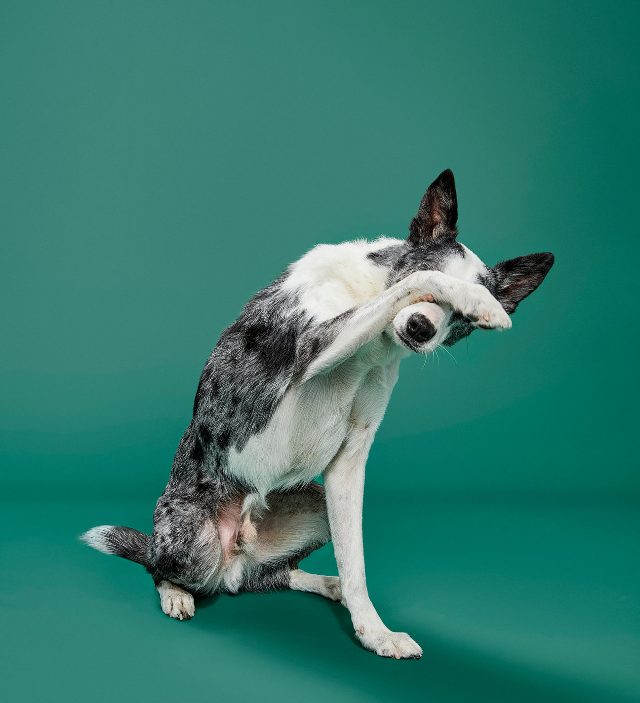 Store Locator: Find Us IRL – Jinx