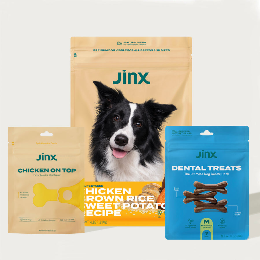 Jinx | Dog Kibble: Salmon & Sweet Potato