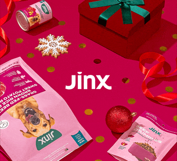 What Is Digestibility and Why It Matters | Jinx