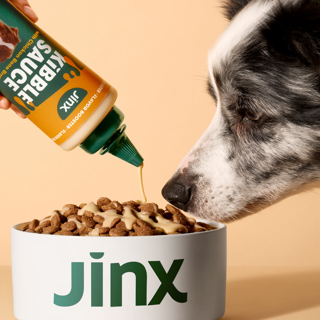 Kibble Sauce – Jinx