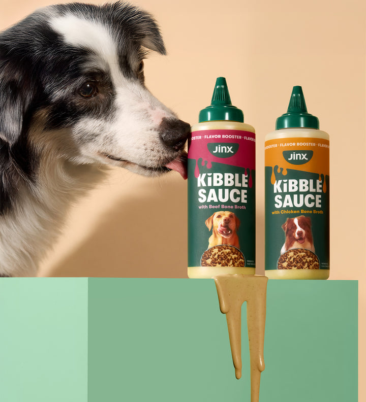 Jinx Dog Food FAQ: Your Questions Answered