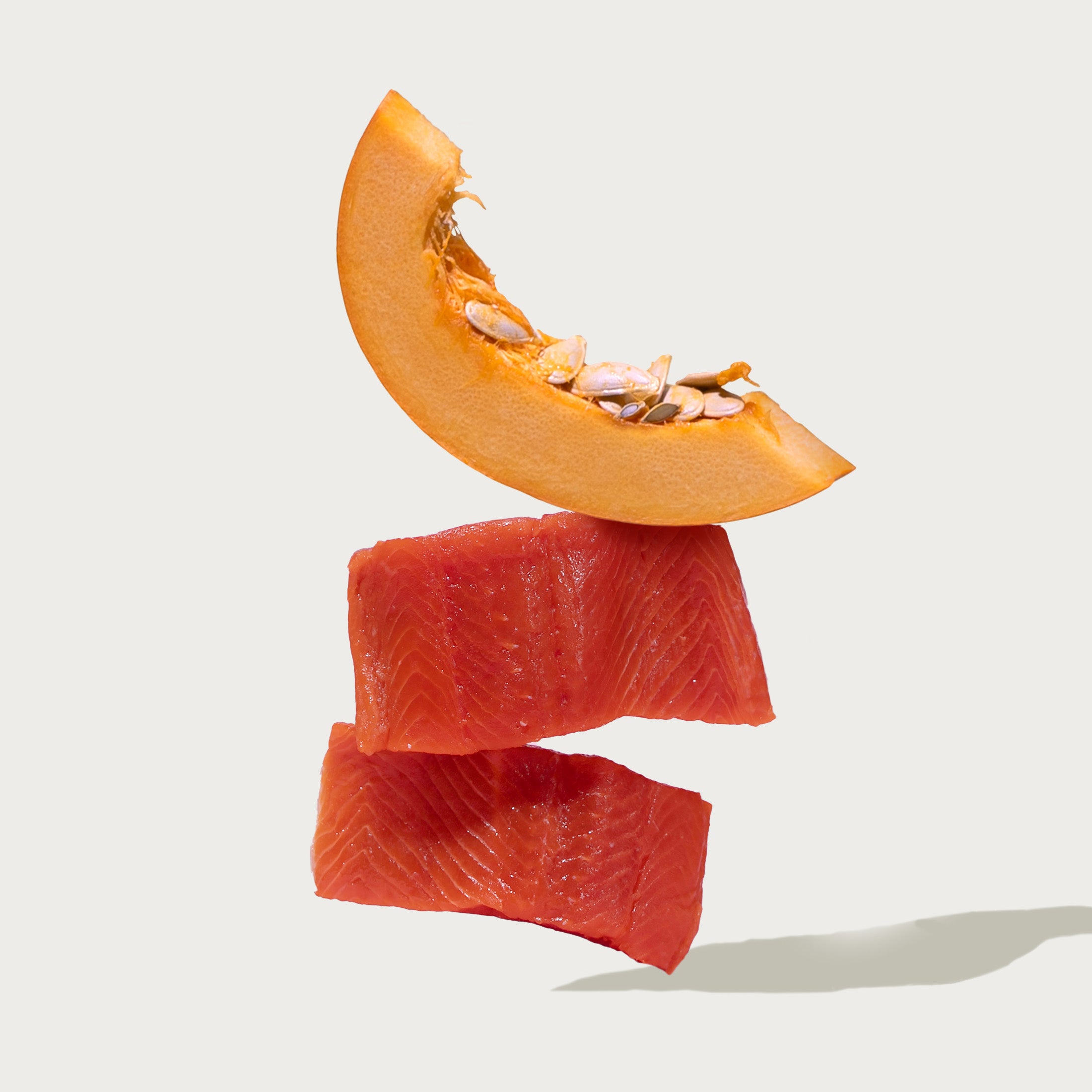 Shop Premium Salmon and Pumpkin topper For Dogs – Jinx