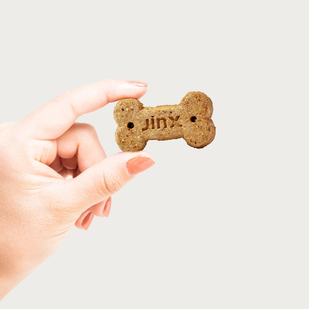 Dog Treats: Oven-Baked Beef Bone Broth Biscuits - Jinx