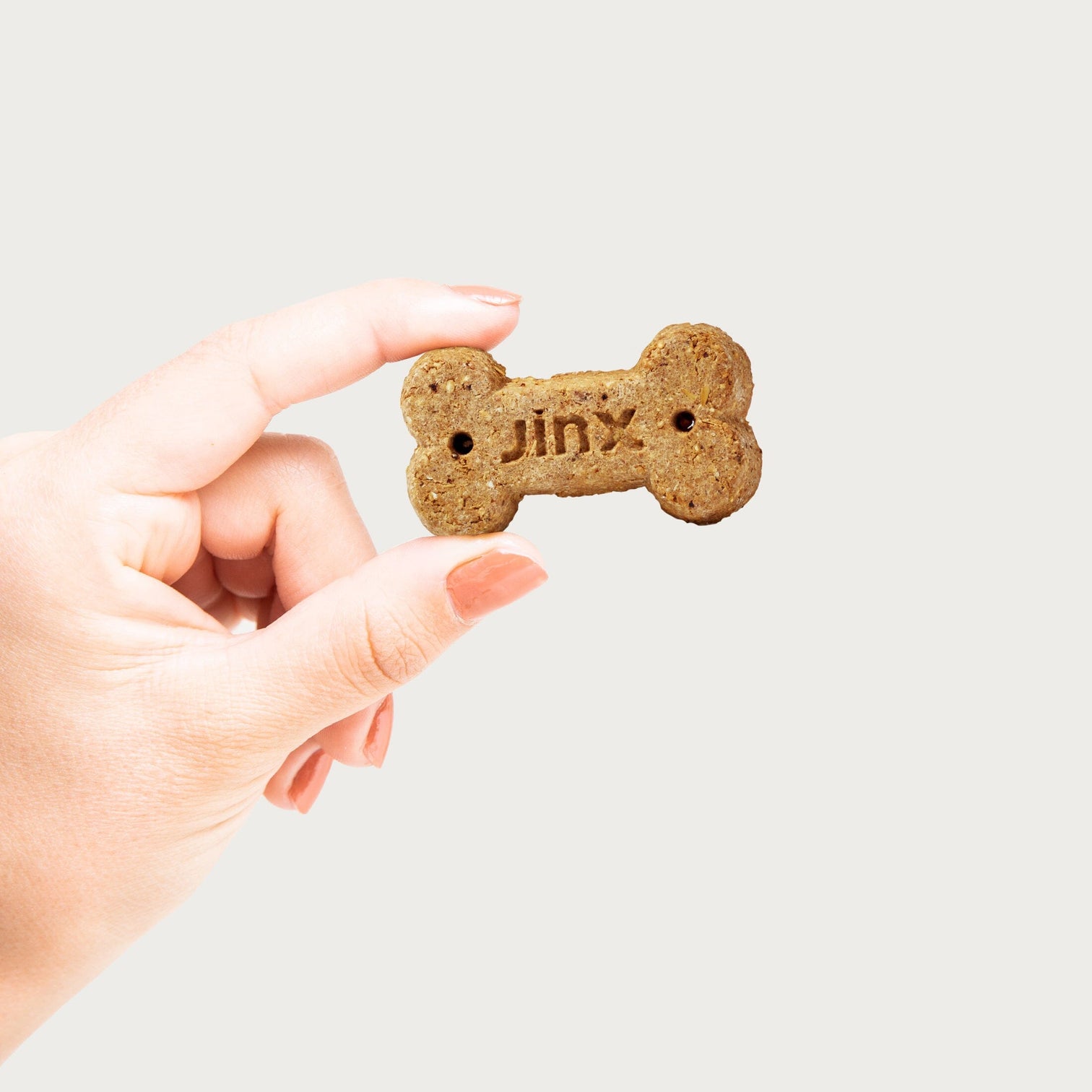 Shop Premium Oven-Baked Dog Chicken Broth Biscuits – Jinx