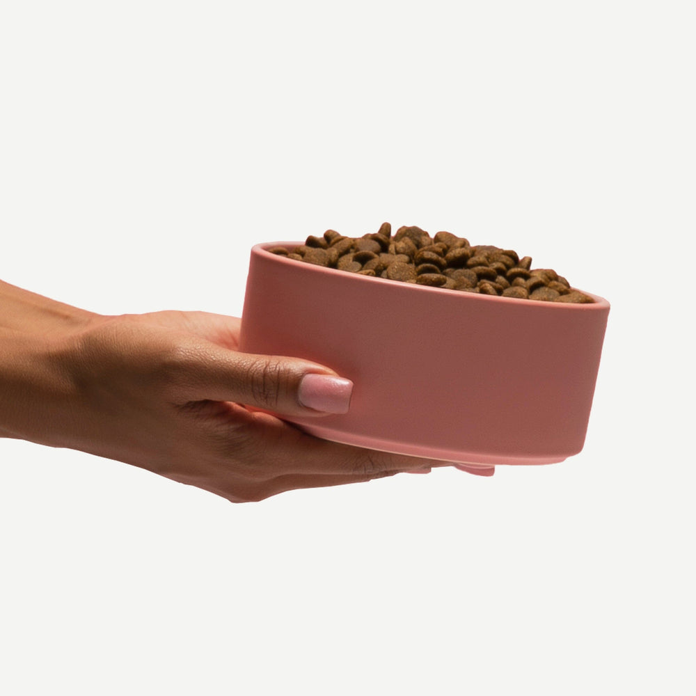 Jinx | Dog Kibble: Grain-Free Salmon & Carrot