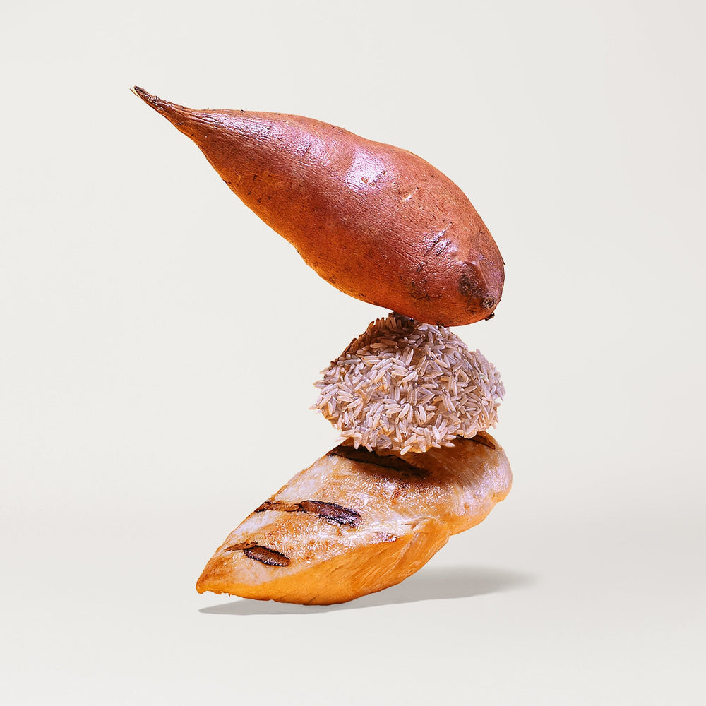 Jinx | Dog Kibble: Organic Chicken & Pumpkin