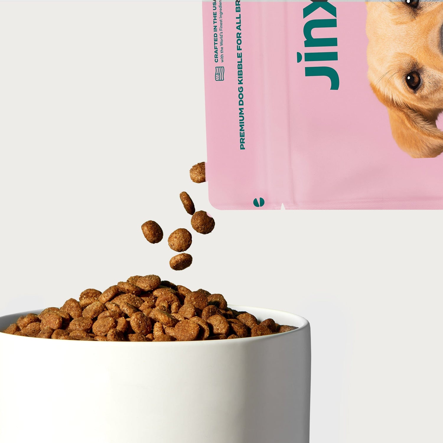 Shop Food For Picky Dogs: Essentials Starter Pack