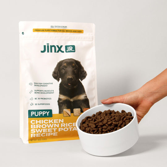 Shop Chicken and Sweet Potato Puppy Food: Kibble – Jinx