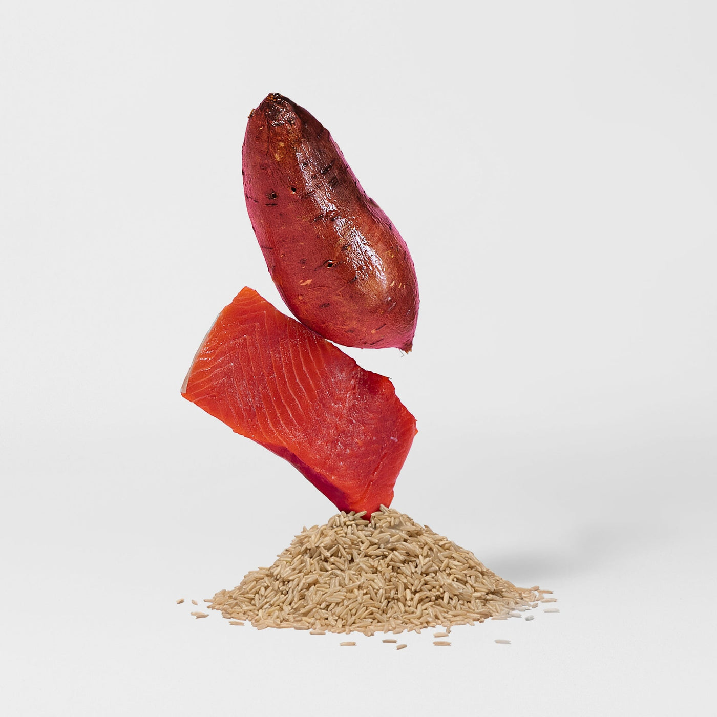 Shop Salmon and Sweet Potato Dog Food: Kibble with Brown Rice