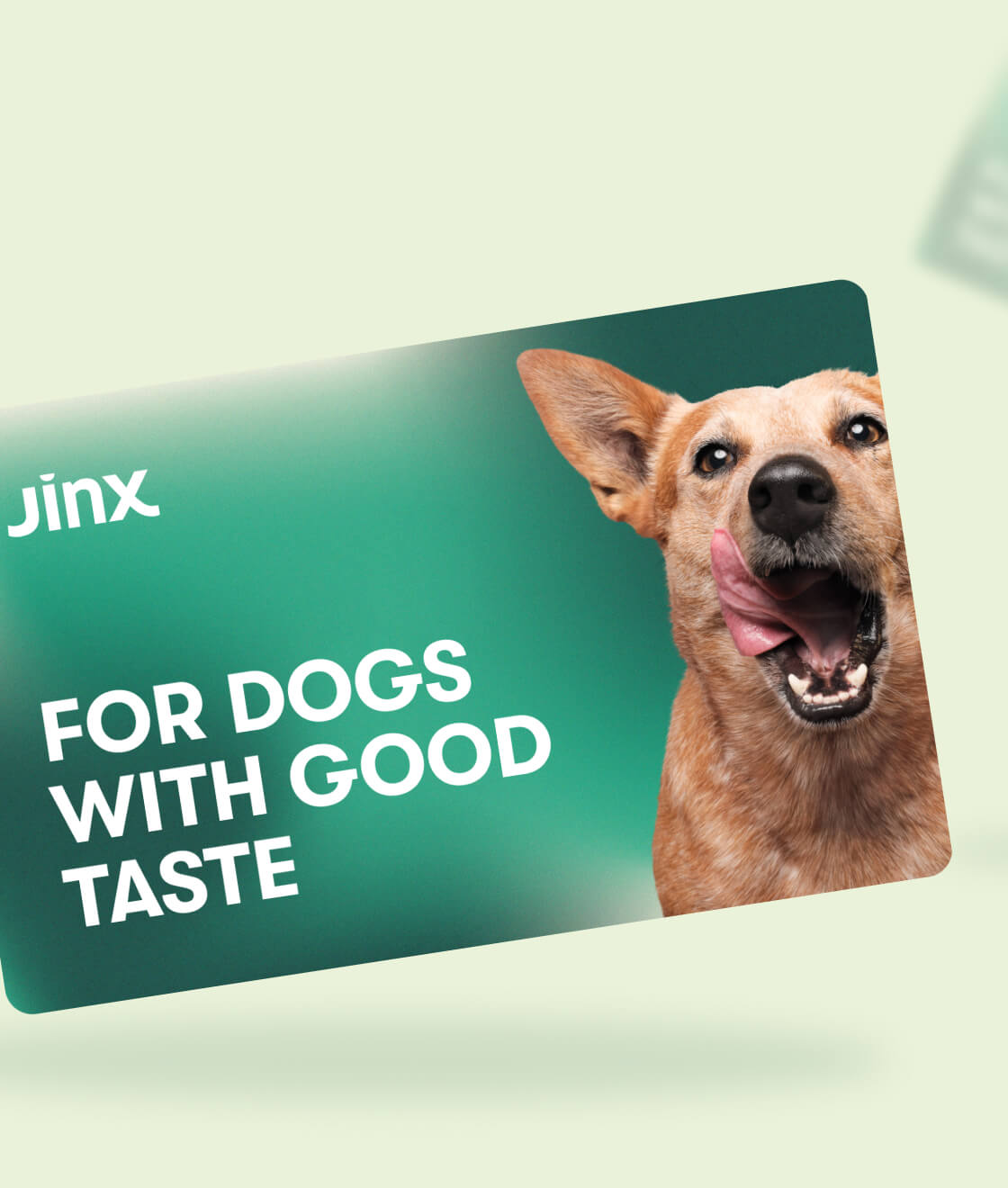 Buy a Jinx Gift Card (eGift Card) for Your Pup Lover Friends
